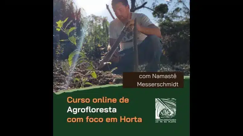 Curso Namastê Messerschmidt: Vale a Pena??【sÓ FalTa vOcÊ】